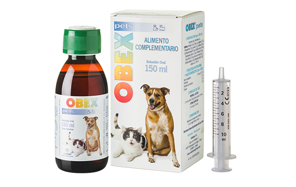 CATALYSIS PET – Investigación y el desarrollo de productos para la ...